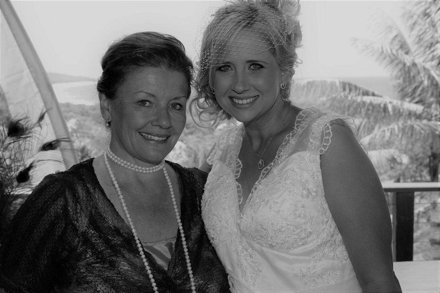 Find my Celebrant - Alliance of Celebrants Qld